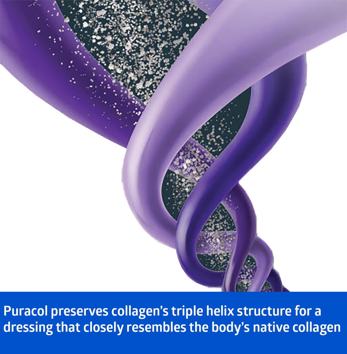 Puracol Plus Collagen Wound Dressings | Medline