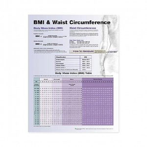 BMI and Waist Circumference Chart | Medline Industries, Inc.