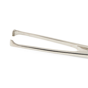 Centurion Allis Tissue Forceps with Curved Teeth | Medline Industries, Inc.