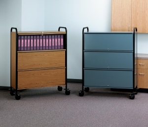 Mobile Side-Opening Chart Racks With Privacy Cover | Medline Industries ...