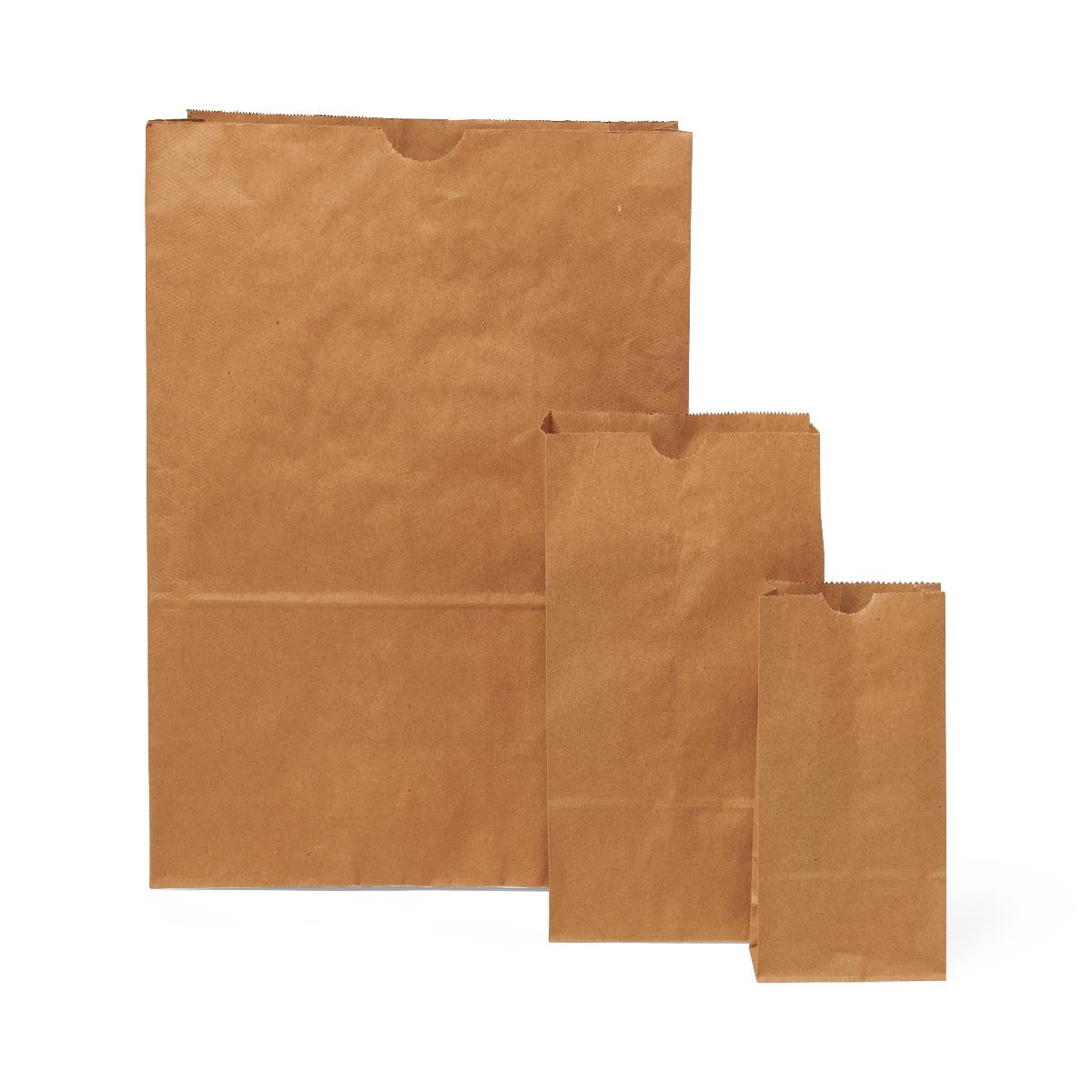 Medline Brown Paper Bags | Medline