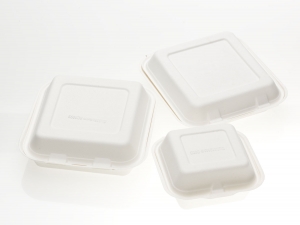 Square Takeout Containers | Medline Industries, Inc.