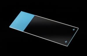 Positive Charge Frosted Microscope Slides | Medline Industries, Inc.