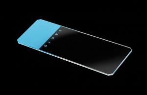 Frosted Beveled Edge Microscope Slides | Medline