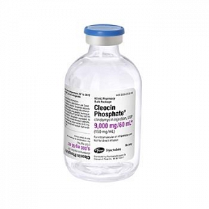 Cleocin Phosphate Injection | Medline