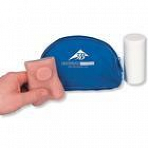 Testicle Educational Model | Medline Industries, Inc.