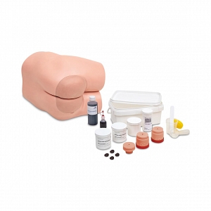3B Scientific Bowel Care and Enema Trainers | Medline Industries, Inc.