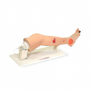 Annie Arterial Insufficiency Leg Model | Medline Industries, Inc.
