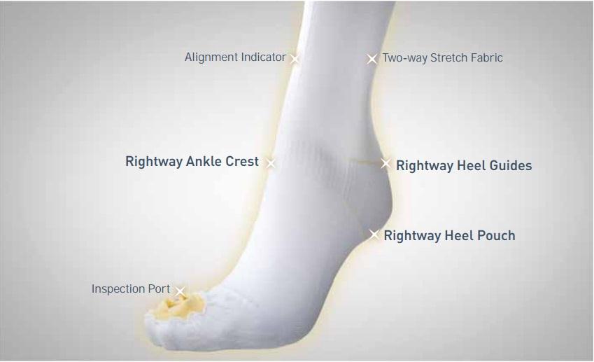 LifeSPAN Anti-Embolism Stockings | Medline