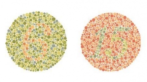 Ishihara Color-Blindness Tests | Medline