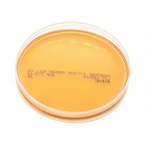 Bacteroides Bile Esculin (BBE) Agar | Medline Industries, Inc.