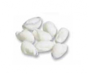 Peanut Operating Room Sponges by Derma Sciences | Medline Industries, Inc.