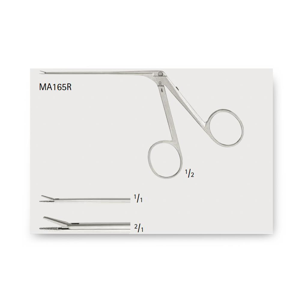 Aesculap House Miniature Alligator Forceps | Medline