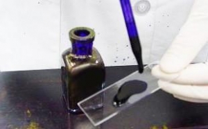 Crystal Violet Reagent, | Medline