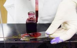 Azer Safranin Gram Stain Reagent | Medline Industries, Inc.