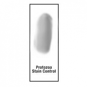 Protozoa Control Slides | Medline Industries, Inc.