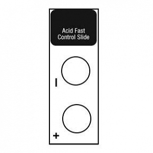 Acid Fast Stain Control Slides | Medline Industries, Inc.