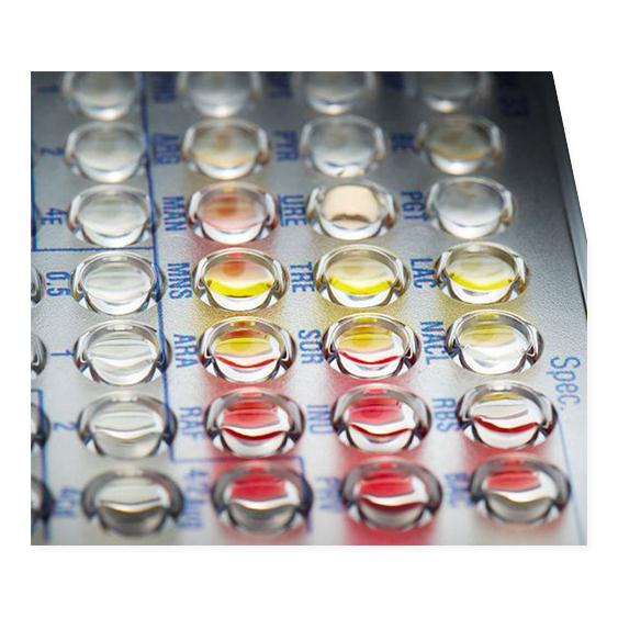 Positive Combo 44 MicroScan Panel | Medline