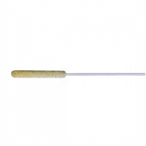 BD ESwab Collection and Transport System | Medline