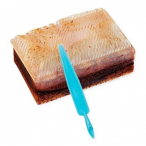 E-Z Scrub Preoperative Surgical Scrub Brushes | Medline Industries, Inc.