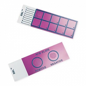 BBL Gram Slide | Medline Industries, Inc.