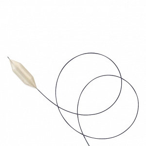 Atlas Gold PTA Dilatation Catheter | Medline