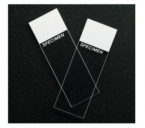 Superfrost Plus Slides | Medline