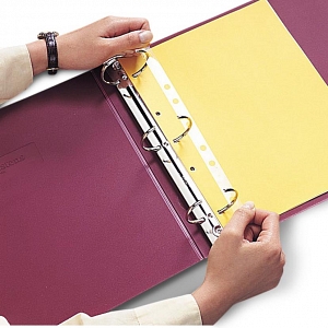 Record Guard Protective Strips for Side-Opening Ring Binders | Medline ...