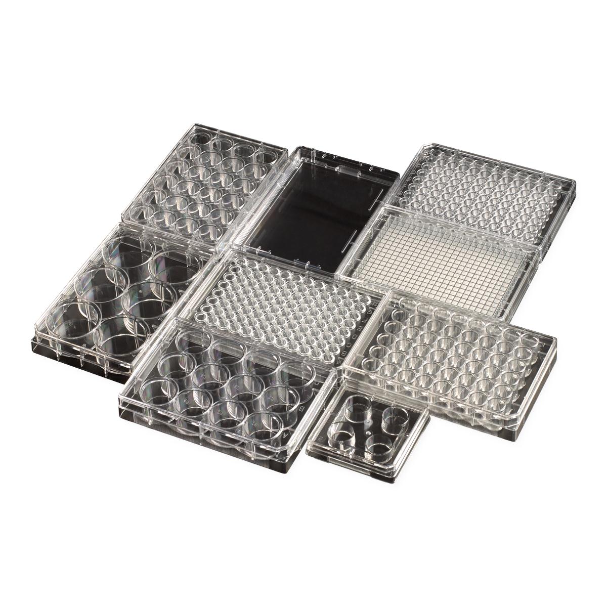 Treated Multi-Well Tissue Culture Plates | Medline
