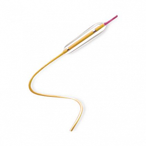 Medtronic Euphora Semicompliant Balloon Dilatation Catheters | Medline
