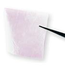 Amnioexcel Allograft Membrane | Medline