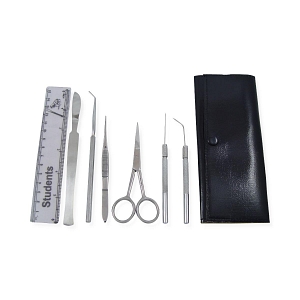 Introductory Anatomy Dissection Kit | Medline Industries, Inc.