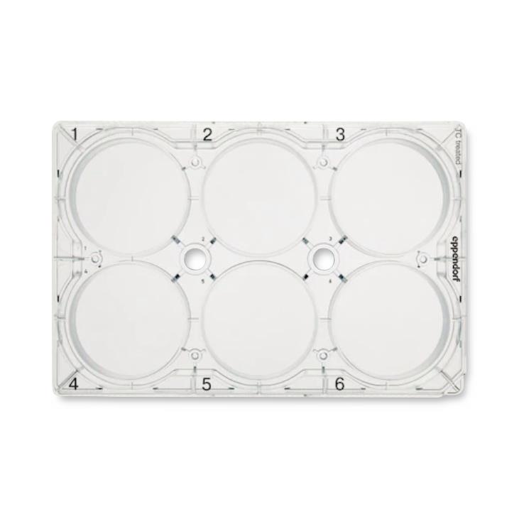 TC-Treated Cell Culture Plates | Medline