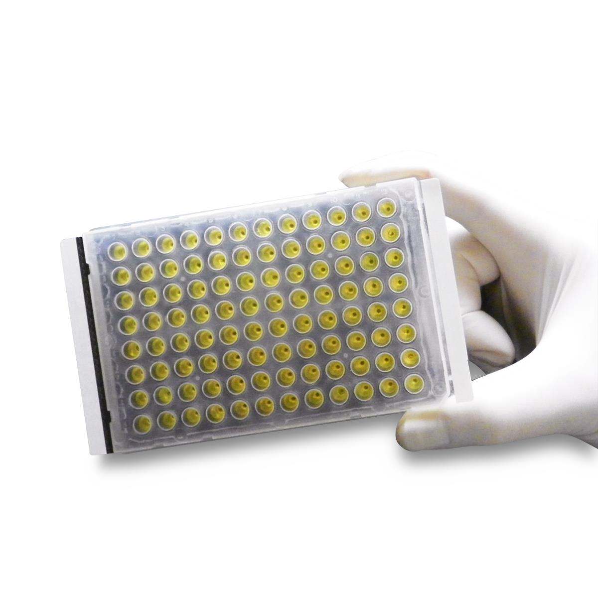 ThermalSeal A Sealing Films for PCR and Storage | Medline