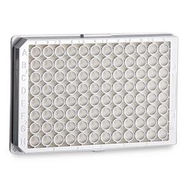 96-Well Flat-Bottom/Chimney-Well Microplate | Medline