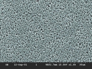 Regenerated Cellulose Membranes | Medline Industries, Inc.