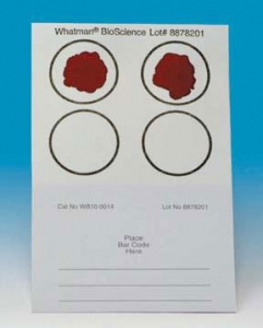 Bloodstain Specimen Collection Card | Medline