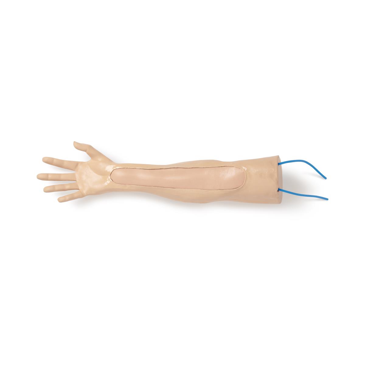 Grays Models Phlebotomy/IV Access Arm Task Trainers | Medline