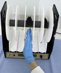 Rota Rod for Motor Coordination in Rodents | Medline Industries, Inc.