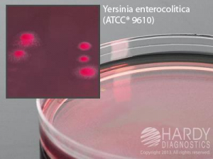 CIN Agar for Yersinia | Medline Industries, Inc.