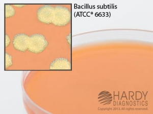MYP Agar | Medline Industries, Inc.