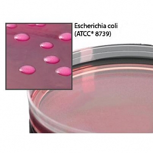 Violet Red Bile with Glucose Agar | Medline Industries, Inc.