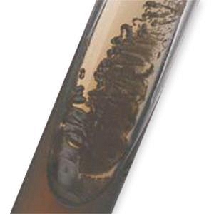 Hardy Diagnostics Caffeic Acid Agar | Medline Industries, Inc.