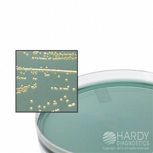 CLED Agar Plates | Medline Industries, Inc.