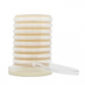 R2A Agar Plates | Medline Industries, Inc.