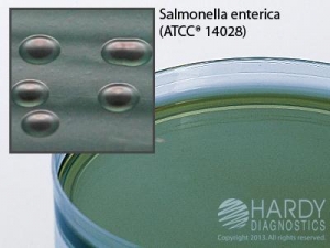 HE (Hektoen Enteric) Agar | Medline Industries, Inc.