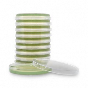 HDX Sabdex Agar | Medline Industries, Inc.