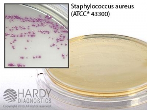 HardyCHROM MRSA Chromogenic Medium | Medline