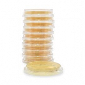 SabDex Agar Plate | Medline Industries, Inc.