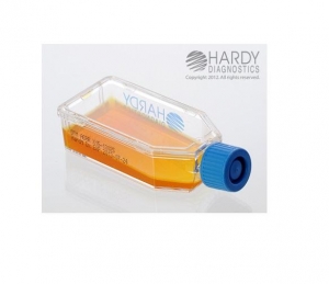 DTM (Dermatophyte Test Medium) Agar | Medline Industries, Inc.